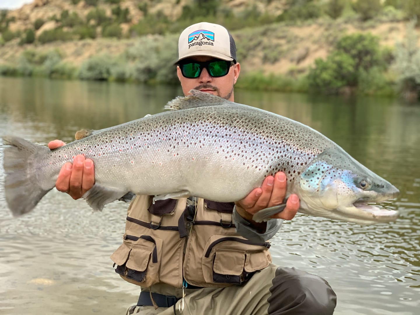 San Juan River Fly Fishing - San Juan River Fly Fishing
